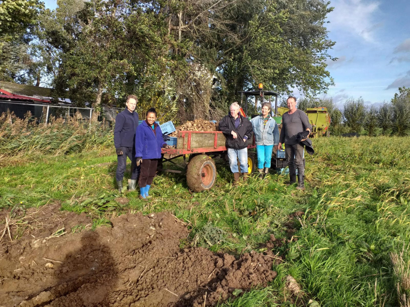 Aardappels rooien met Wytze bij de Eemweideboerderij